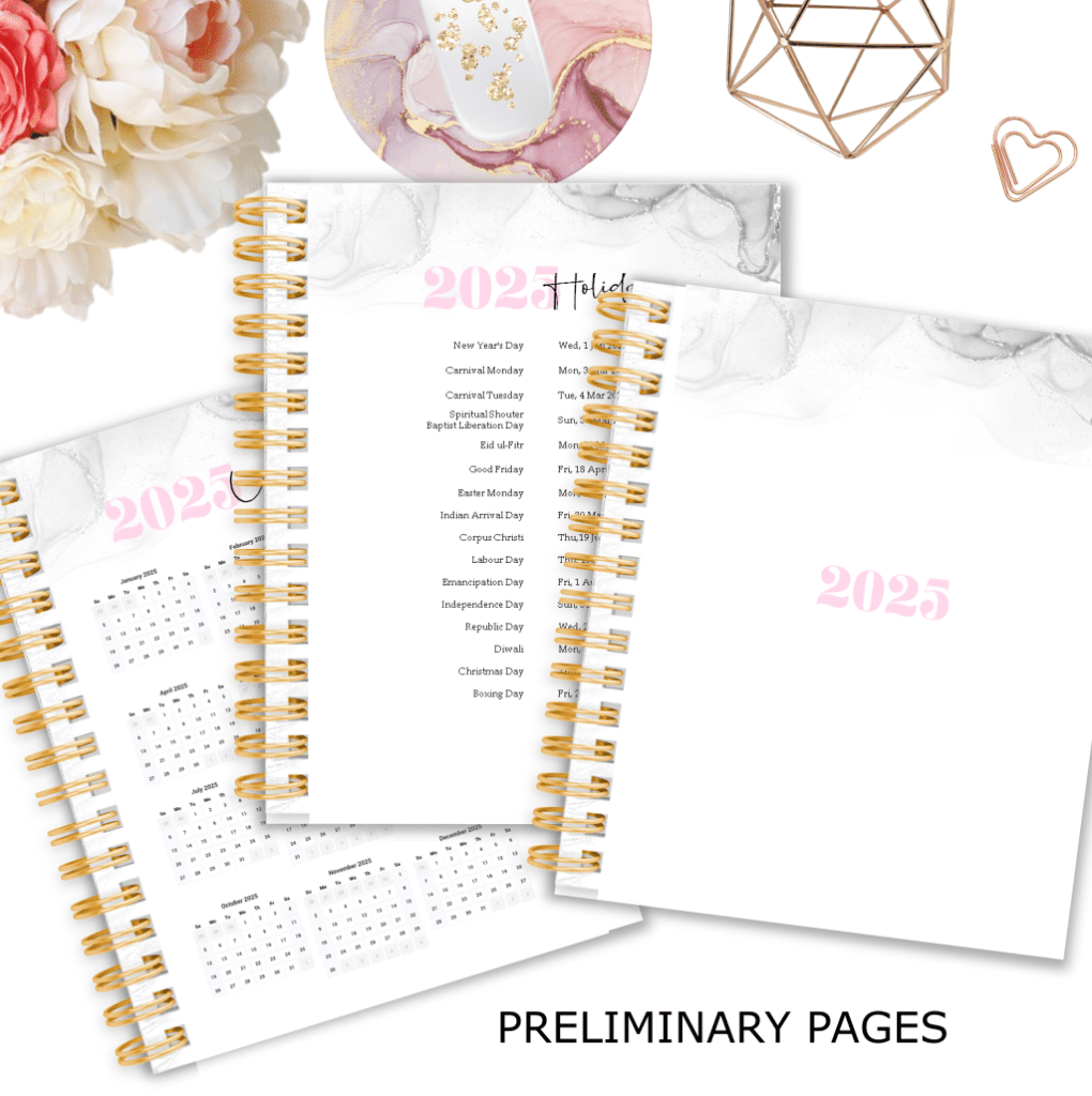 PGC Annual Planner - Busy Girlie - Planner Girl Collection